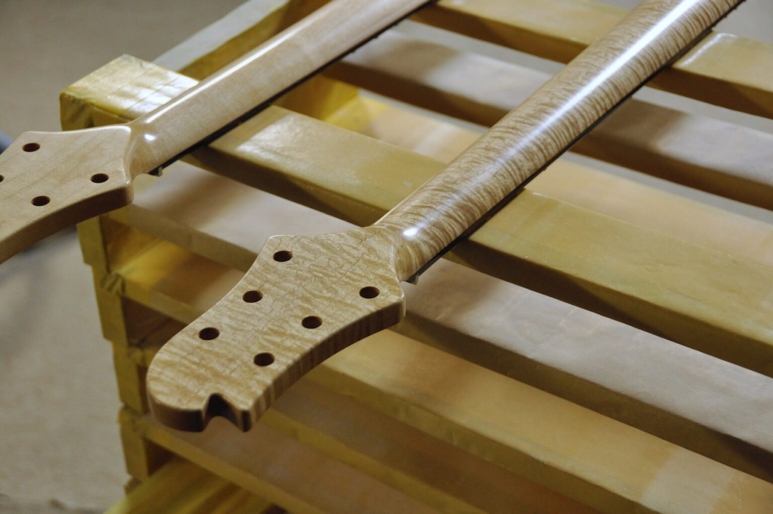 curly maple neck ! / News - Sugi Guitars / スギギター